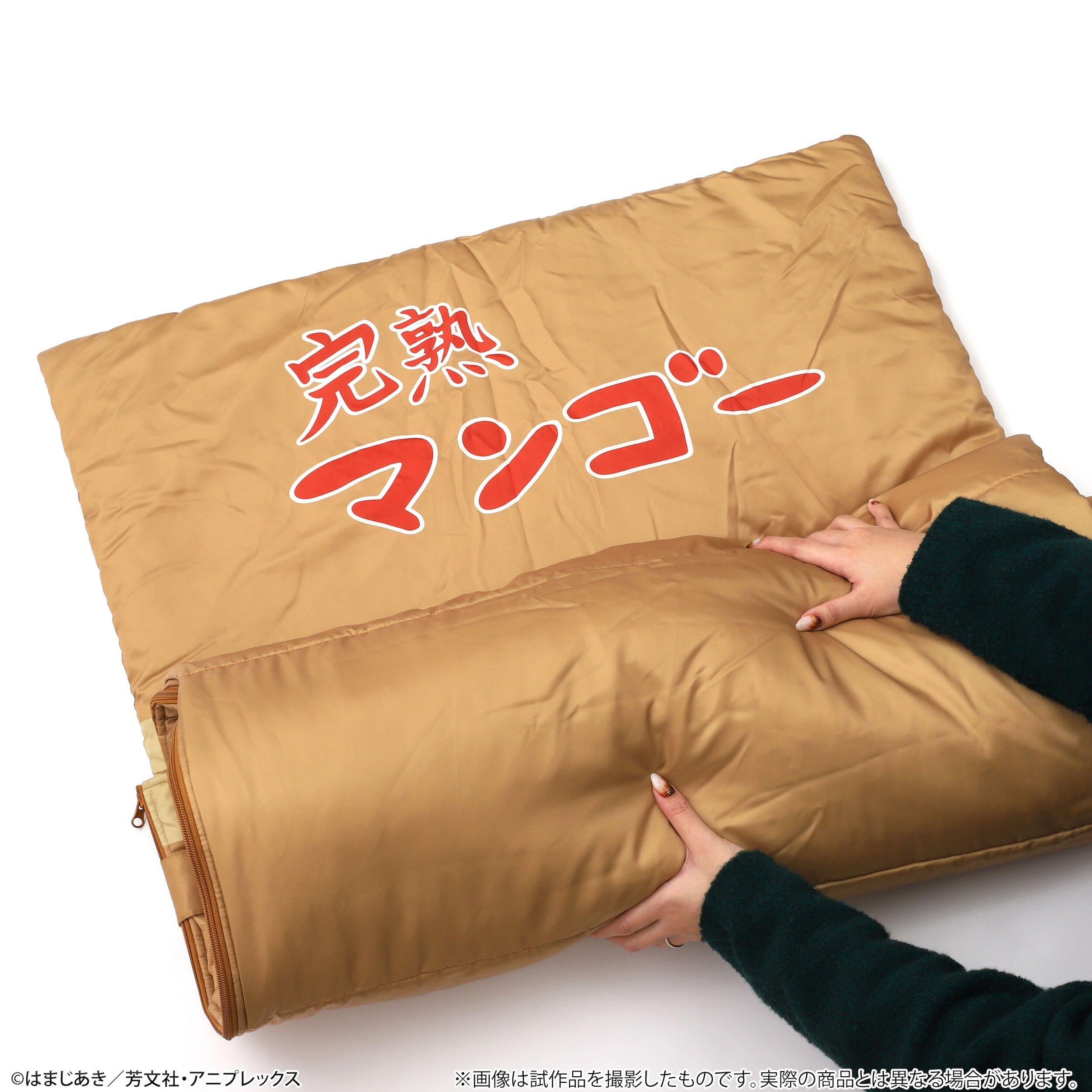 Bocchi the Rock! Sleeping Bag Cardboard Box Style - Tokyo Otaku Mode (TOM)