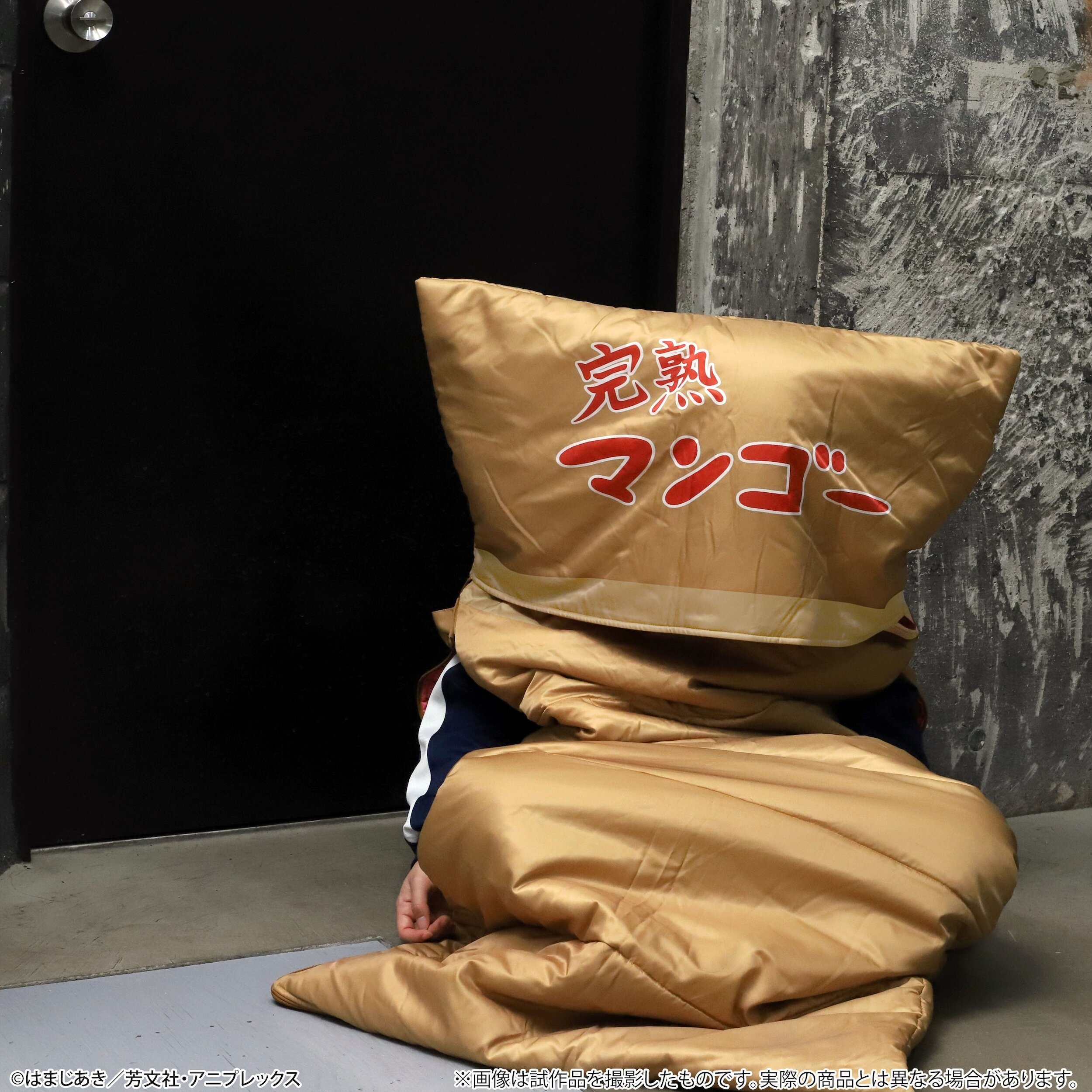 Bocchi the Rock! Sleeping Bag Cardboard Box Style - Tokyo Otaku Mode (TOM)
