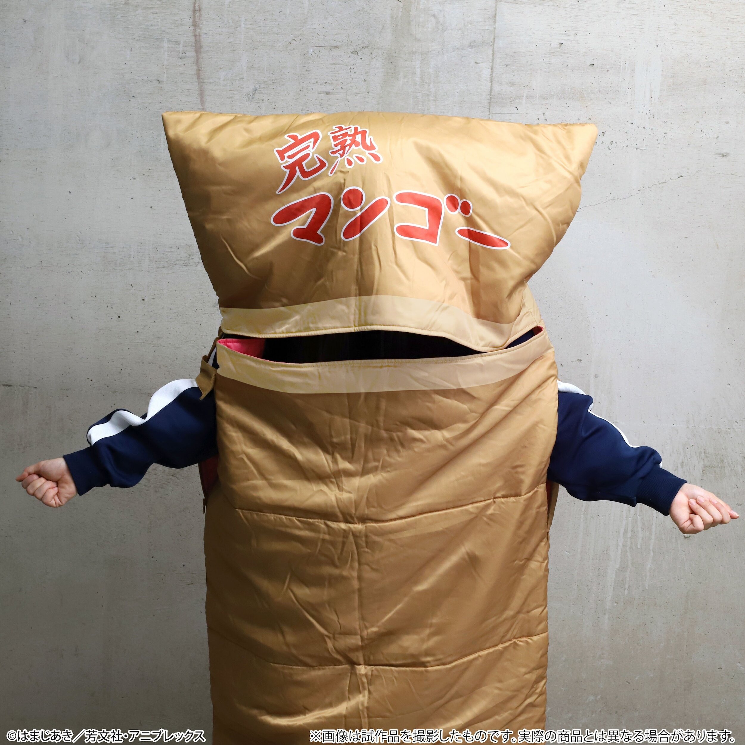 Bocchi the Rock! Sleeping Bag Cardboard Box Style - Tokyo Otaku Mode (TOM)