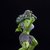 ArtFX Premier Marvel She-Hulk Figure: KOTOBUKIYA - Tokyo Otaku Mode (TOM)