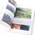 Makoto Shinkai's Film Your Name Official Visual Guide Book: Makoto ...