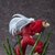 Inuyasha 1/7 Scale Figure: Proof - Tokyo Otaku Mode (TOM)