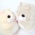 Momonga no Momota Flying Squirrel Plush Collection (Big): Amuse - Tokyo ...