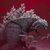 S.H.MonsterArts Godzilla Singular Point Rodan (2021) -The Second Form ...