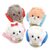 Fuwa-mofu Pometan Trip in a Bag Dog Plush Collection (Standard) - Tokyo Otaku Mode (TOM)