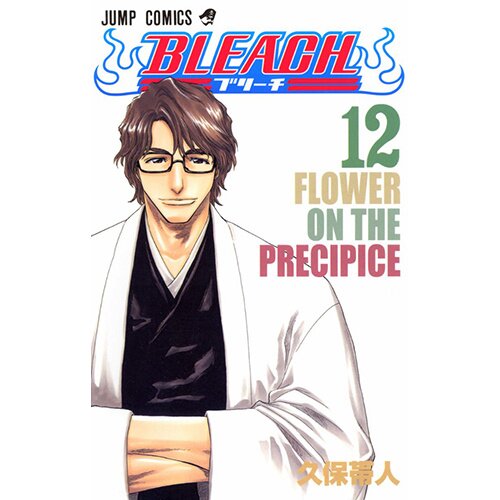 Bleach Vol. 12 (Japanese) 100% OFF - Tokyo Otaku Mode (TOM)
