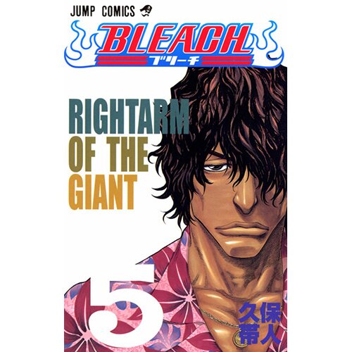 Bleach Vol. 5 (Japanese) - Tokyo Otaku Mode (TOM)