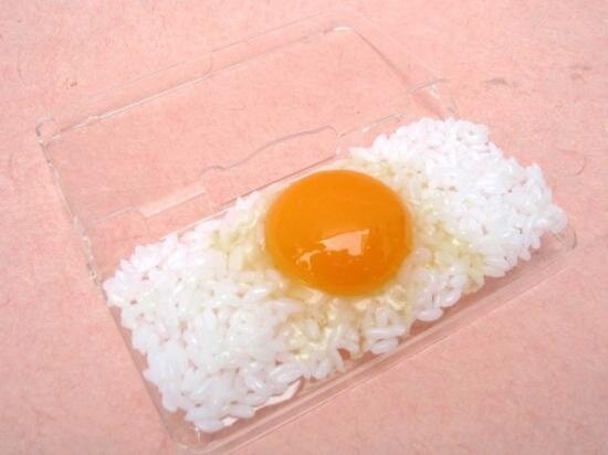 Nintendo DS Series Egg Over Rice Food Sample Case - Tokyo Otaku Mode (TOM)