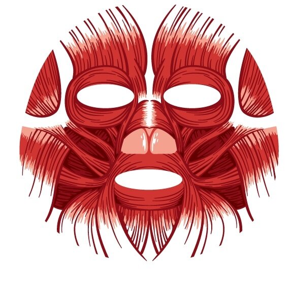 Pure Smile Special Effect Makeup Mask - Tokyo Otaku Mode (TOM)