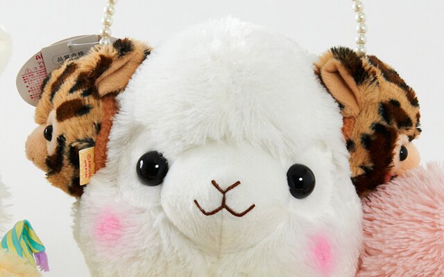 Alpacasso Pirate