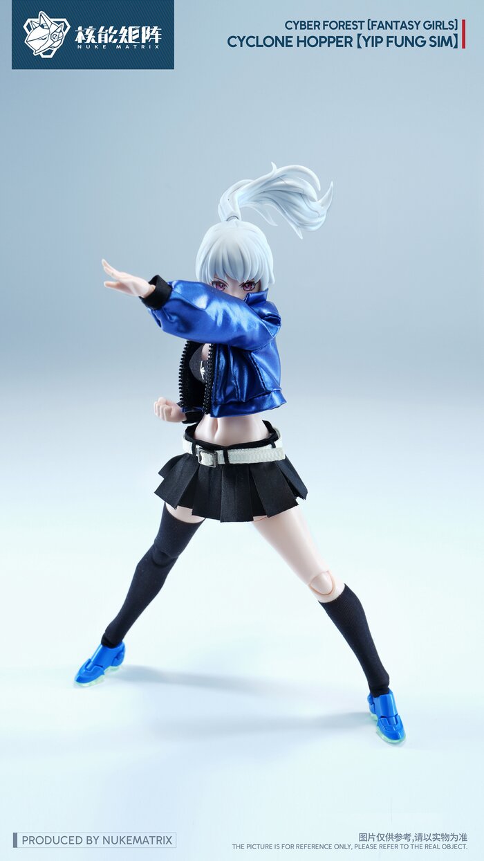 Cyber Forest Fantasy Girls FF0120 Cyclone Hopper Yip Fung Sim 1/12 ...