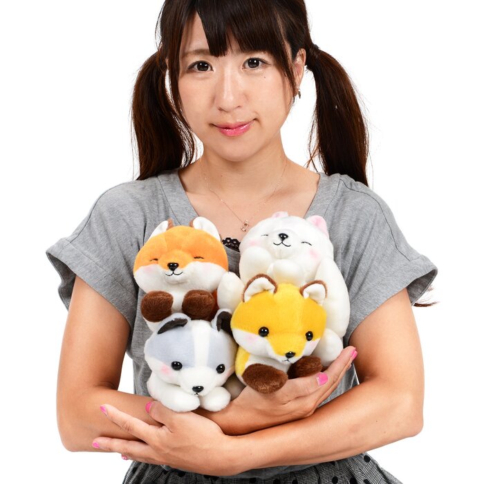 Kogitsune Konkon Curled Tail Fox Plush Collection (Standard): Amuse ...