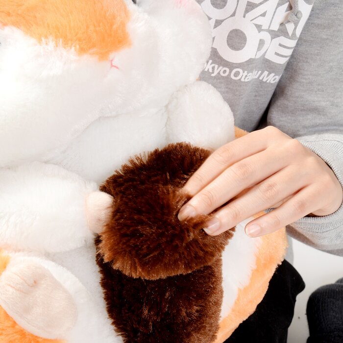Coroham Coron to Risu-chan Hamster Plush Collection (Big): Amuse ...