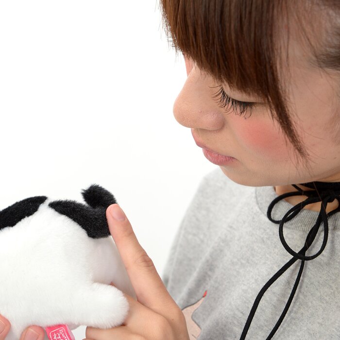 Bucha Neko-san Cat Plush Collection (Standard) - Tokyo Otaku Mode (TOM)