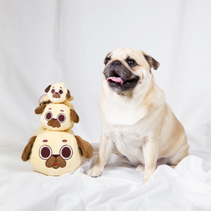 Puglie Pug Large Plush: WeLoveFine - Tokyo Otaku Mode (TOM)