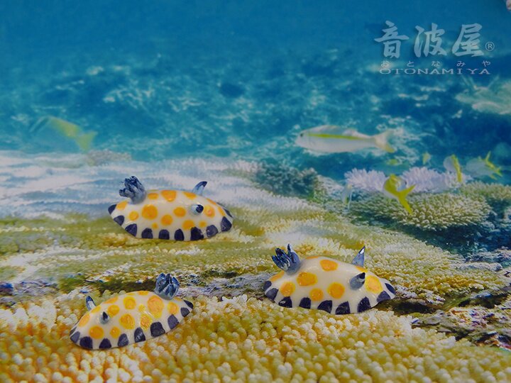 Sea Slug Keychains - Tokyo Otaku Mode (TOM)