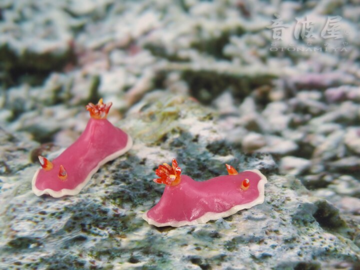 Sea Slug Keychains - Tokyo Otaku Mode (TOM)