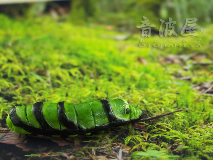 Caterpillar Keychain Collection: Otonamiya - Tokyo Otaku Mode (TOM)