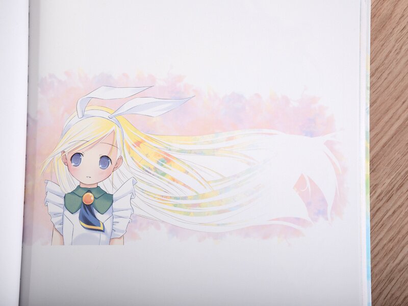 Ani Pop Girls: Pop Animation Works - Tokyo Otaku Mode (TOM)