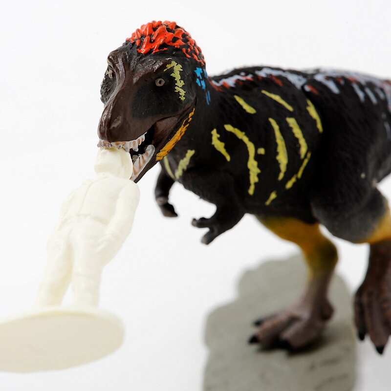 Capsule Q Dinosaur Excavation Chronicle - Tyrannosaurus Rex: KAIYODO ...