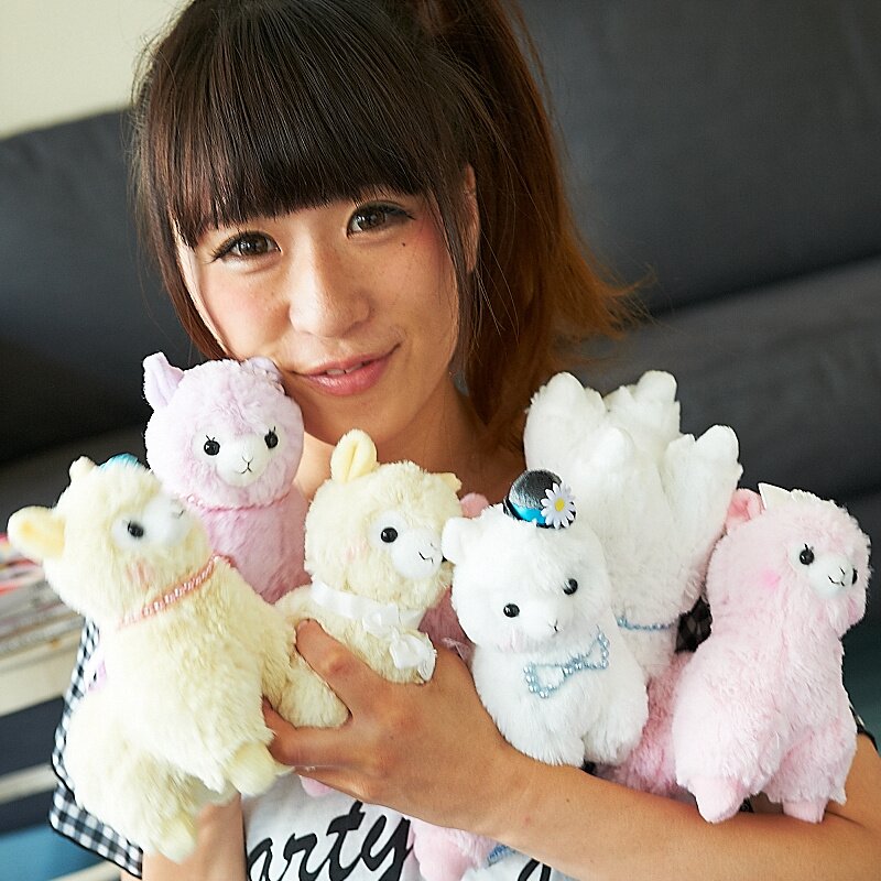 Amuse Kawaii Plush Starter Sets: Amuse - Tokyo Otaku Mode (TOM)