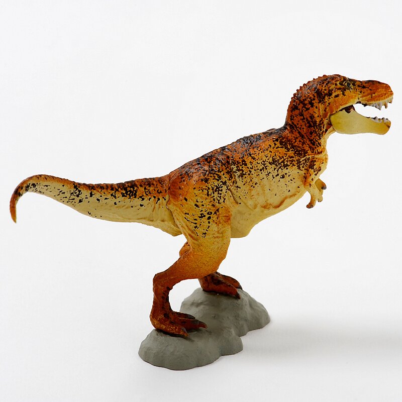 Capsule Q Dinosaur Excavation Chronicle - Tyrannosaurus Rex: KAIYODO ...