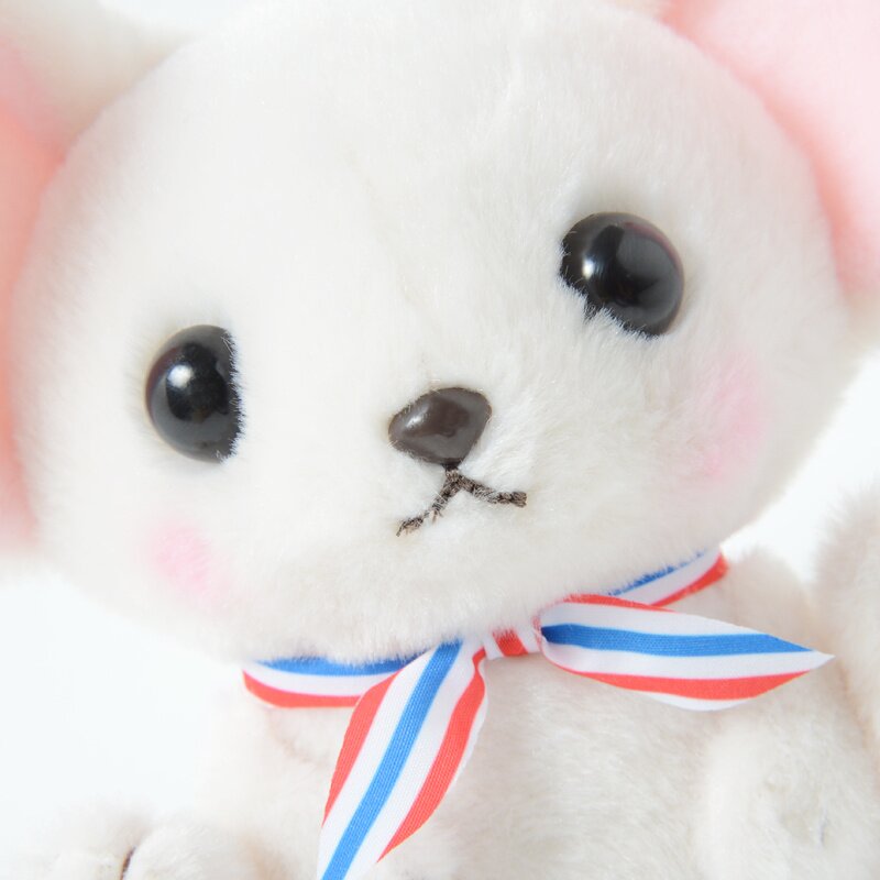 Feneky the Fennec Fox Stripe Plush Collection (Standard): Amuse - Tokyo ...