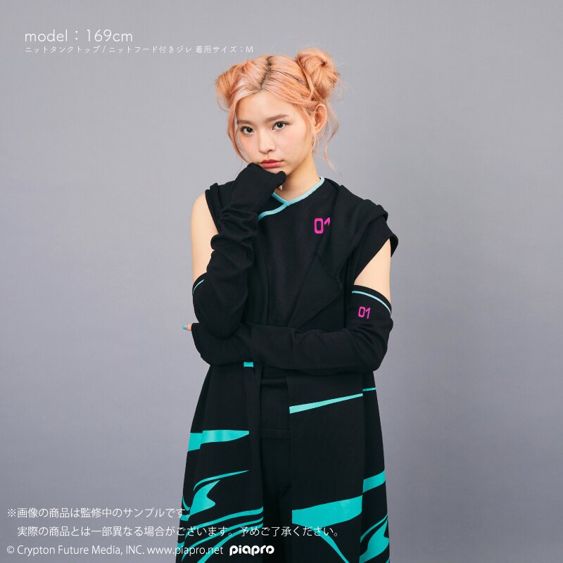 HATSUNE MIKU EXPO 10th Anniversary MV Model Knit Arm Sleeve - Tokyo ...