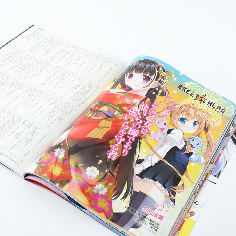 Megami Magazine February 2015 w/ Bonus Selector Infected Wixoss & Amagi ...