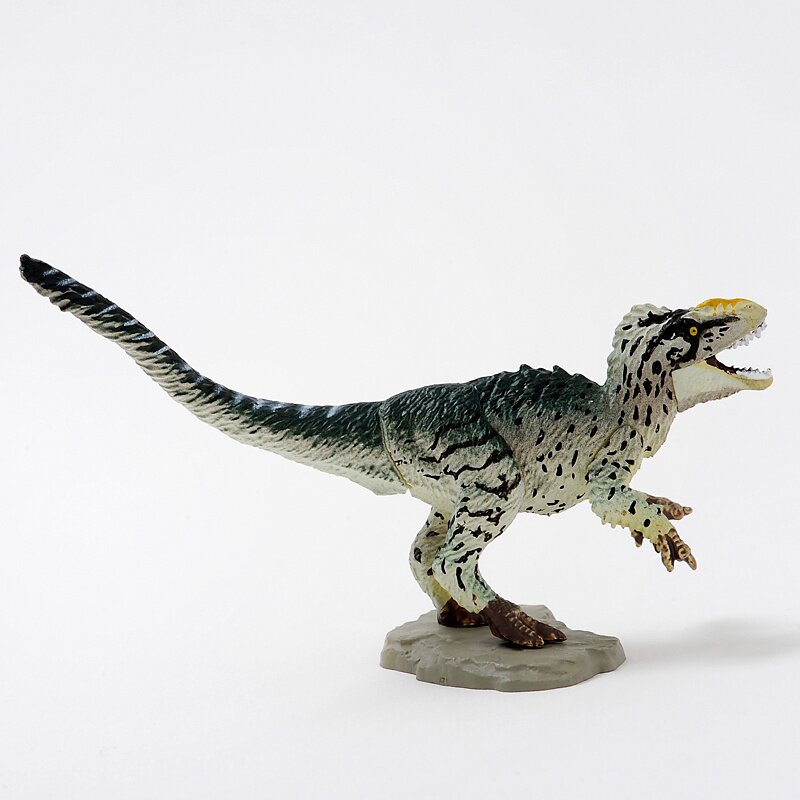 Capsule Q Dinosaur Excavation Chronicle - Tyrannosaurus Rex: KAIYODO ...