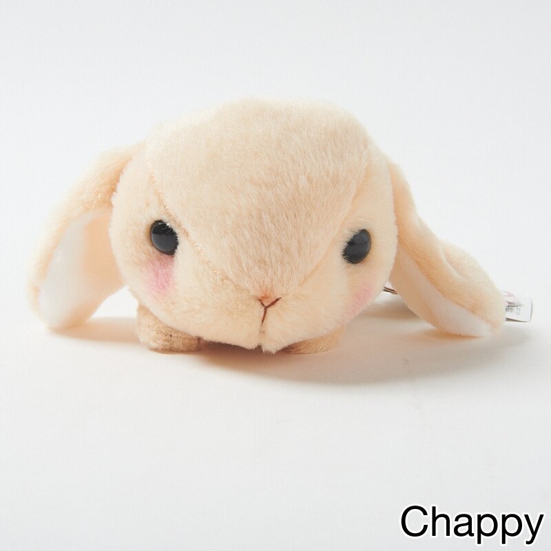 Sleepy Pote Usa Loppy Rabbit Plush Collection (Standard Size) - Tokyo ...