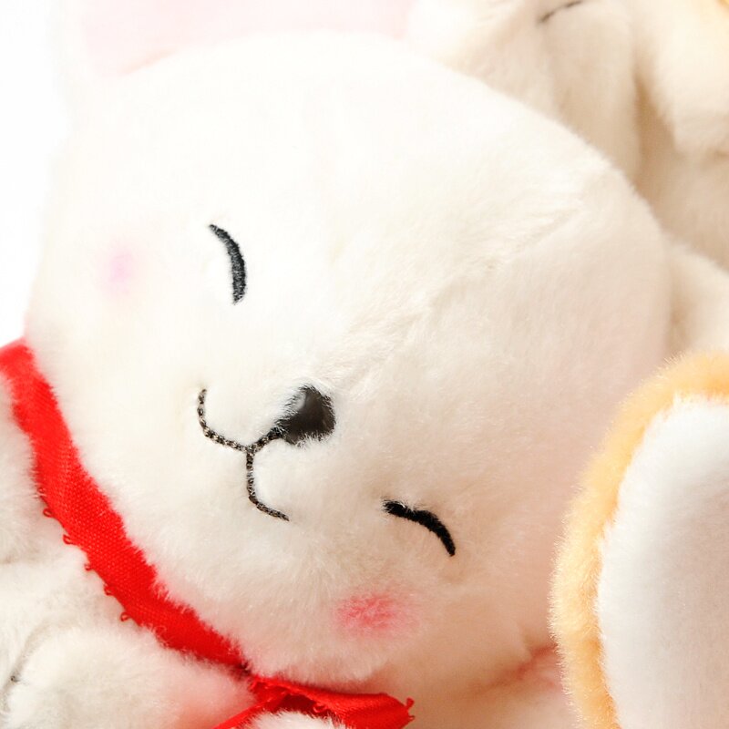 Feneky the Fennec Fox Picnic Plush Collection (Standard): Amuse - Tokyo ...