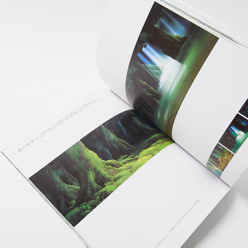 Oga Kazuo Animation Artwork: Studio Ghibli Artworks - Tokyo Otaku Mode ...