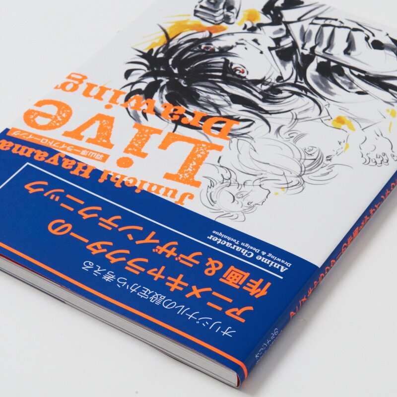 Animation and Design Techniques for Anime Characters (Mook) - Tokyo ...