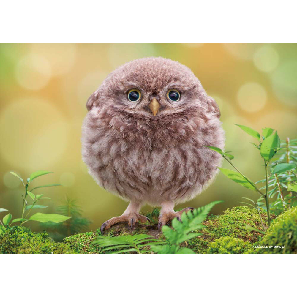 Round Owl Jigsaw Puzzle - Tokyo Otaku Mode (TOM)