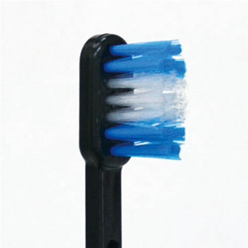 Powered Ninja Toothbrush - Tokyo Otaku Mode (TOM)