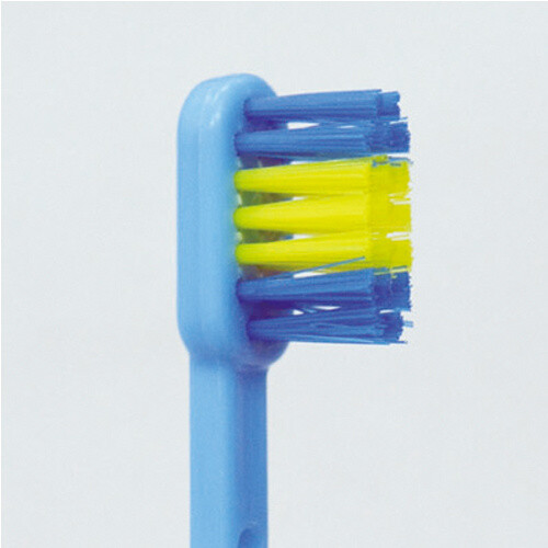 Powered Ninja Toothbrush - Tokyo Otaku Mode (TOM)