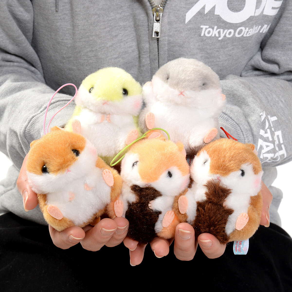 Coroham Coron to Risu-chan Hamster Plush Collection (Mini Strap ...