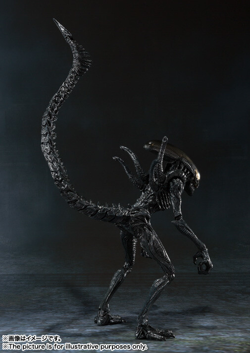 S.H.MonsterArts Alien vs. Predator Alien Warrior - Tokyo Otaku Mode (TOM)