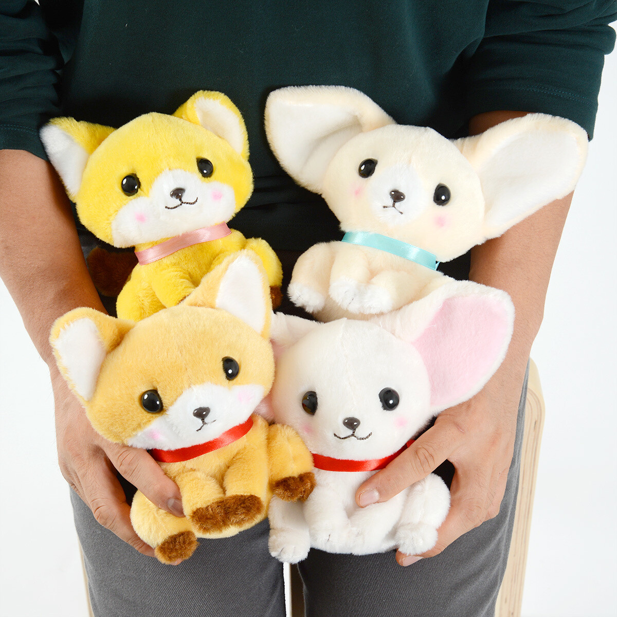 Feneky the Fennec Fox Osuwari Plush Collection (Standard): Amuse ...