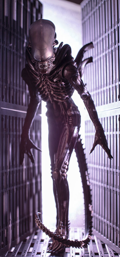 ArtFX+ Alien Xenomorph Big Chap (Re-run): KOTOBUKIYA - Tokyo Otaku Mode ...
