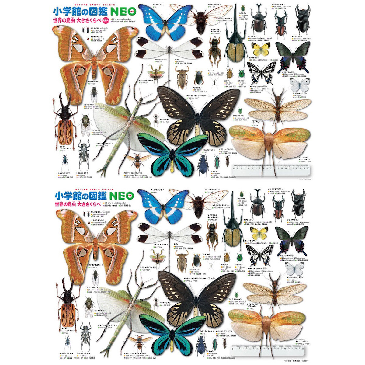 Insects Size Comparison Jigsaw Puzzle - Tokyo Otaku Mode (TOM)