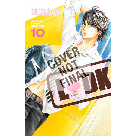 LDK Vol. 10 - Tokyo Otaku Mode (TOM)